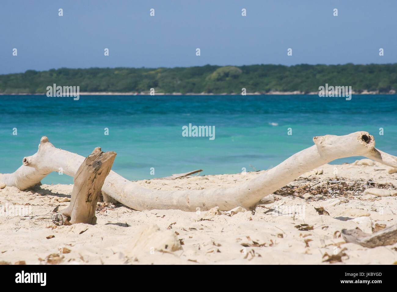 Beautiful white beach of Baru island Stock Photo - Alamy