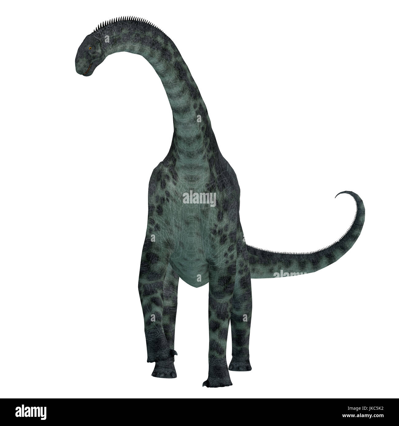 Cetiosaurus was a herbivorous sauropod dinosaur that lived in Morocco ...