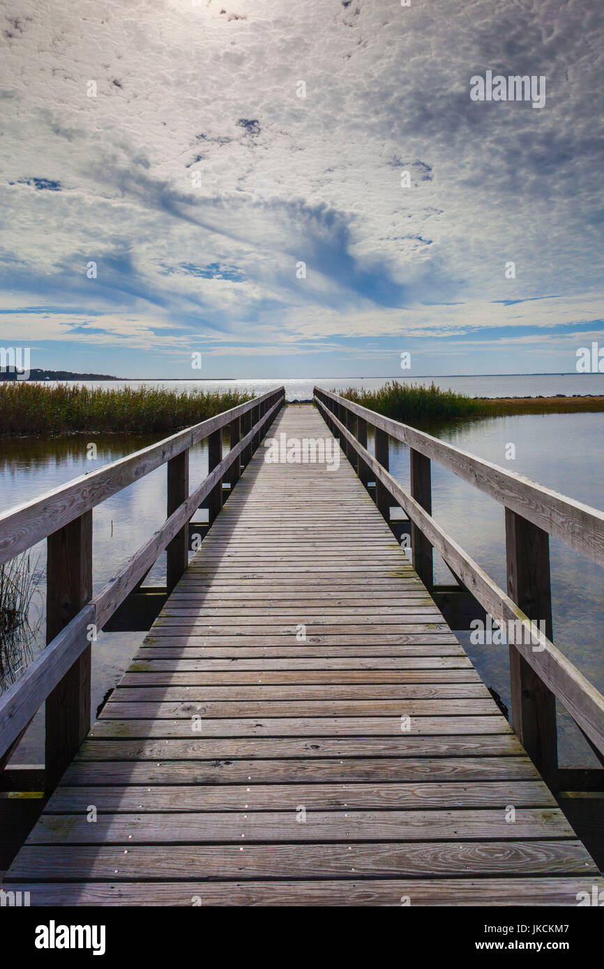USA, North Carolina, Outer Banks National Seashore, Corolla, marsh ...