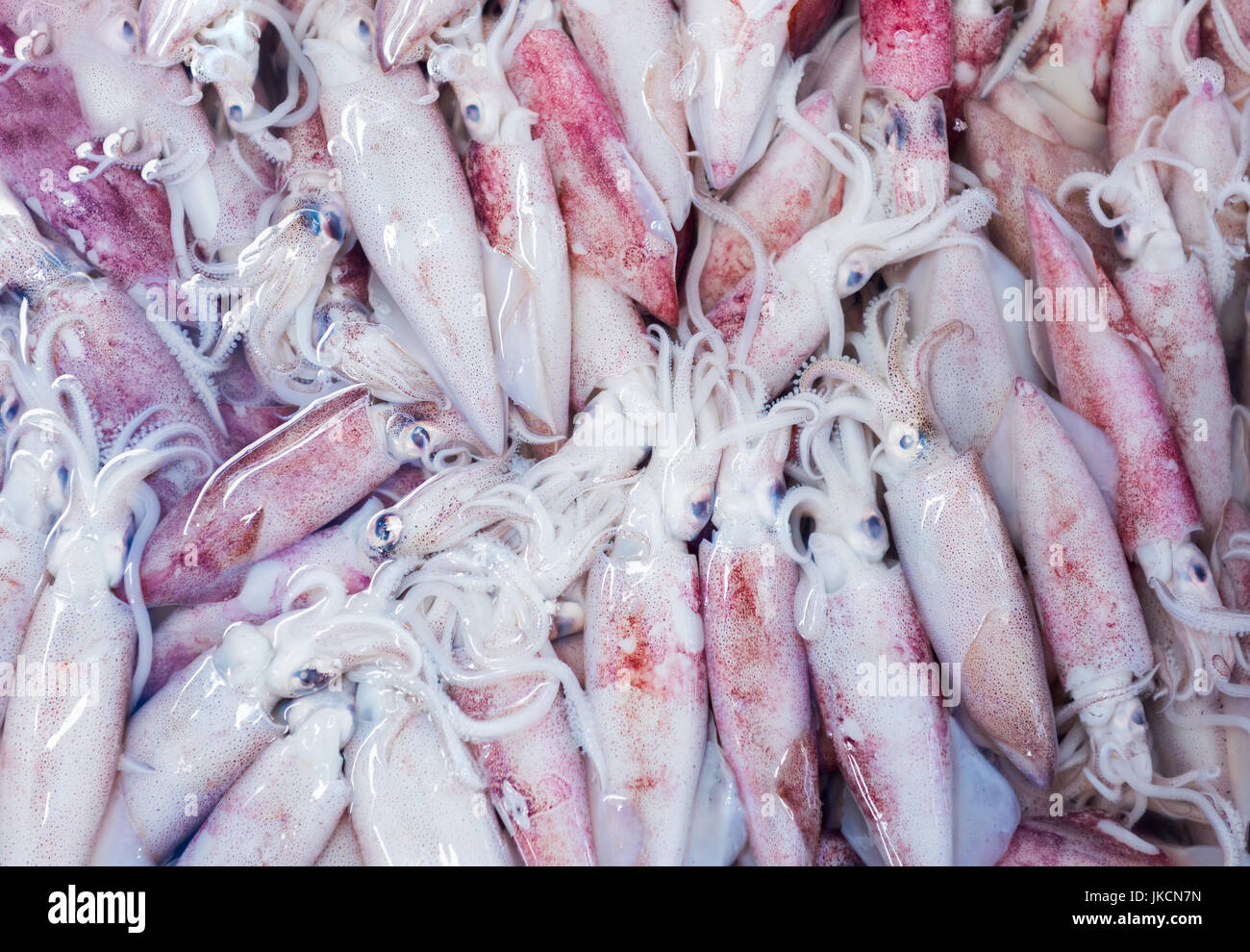 fresh seafood - raw fresh squid seafood at the thai market , Cuttlefish ...