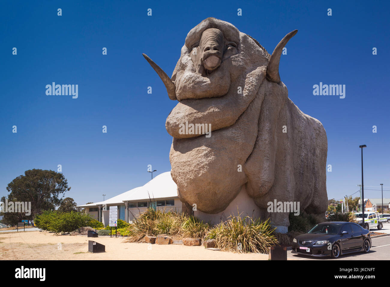 Australia, New South Wales, NSW, Goulburn, The Big Merino, sheep ...