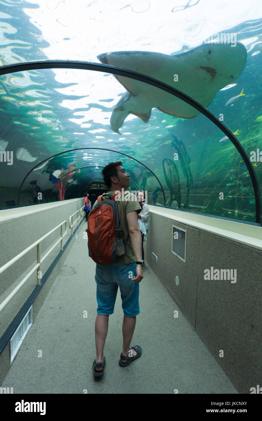 Australian marine life hi-res stock photography and images - Alamy