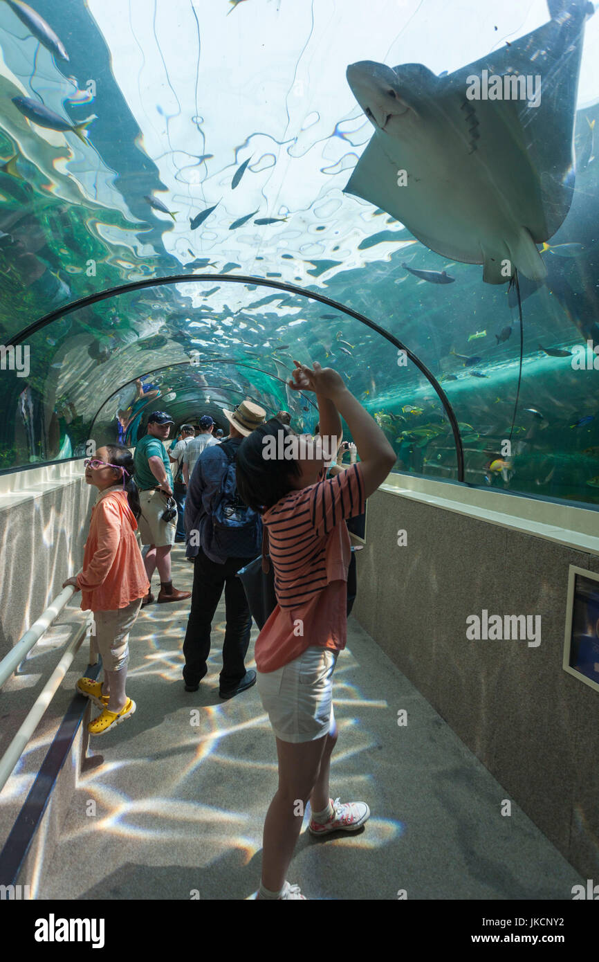 Australian marine life hi-res stock photography and images - Alamy