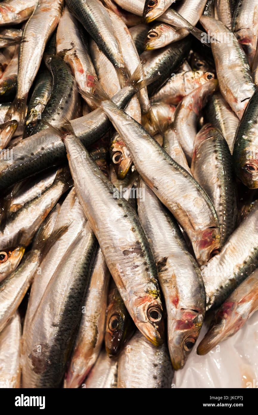 Pilchards hi-res stock photography and images - Alamy