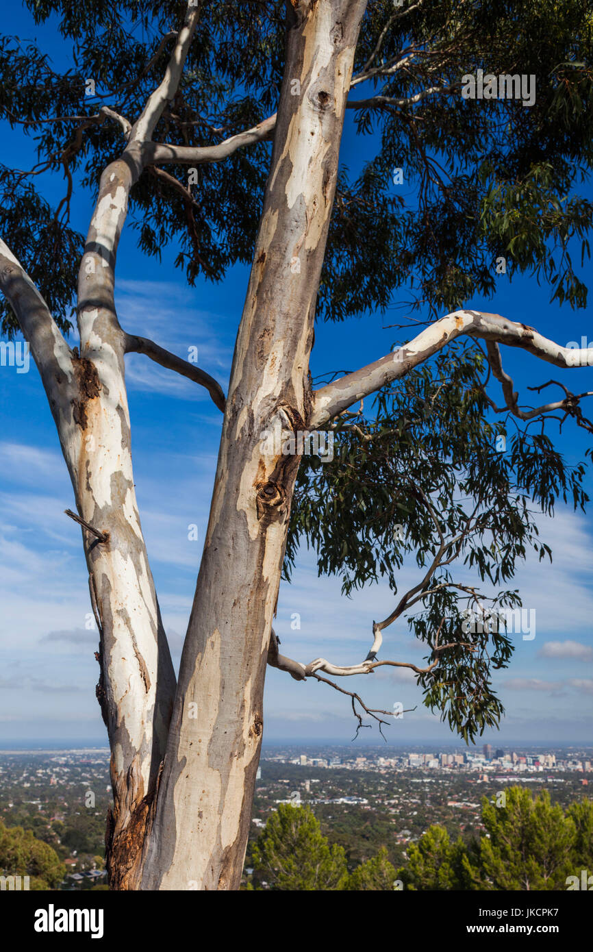 Australia, South Australia, Adelaide Hills, Crafers, elevated skyline ...