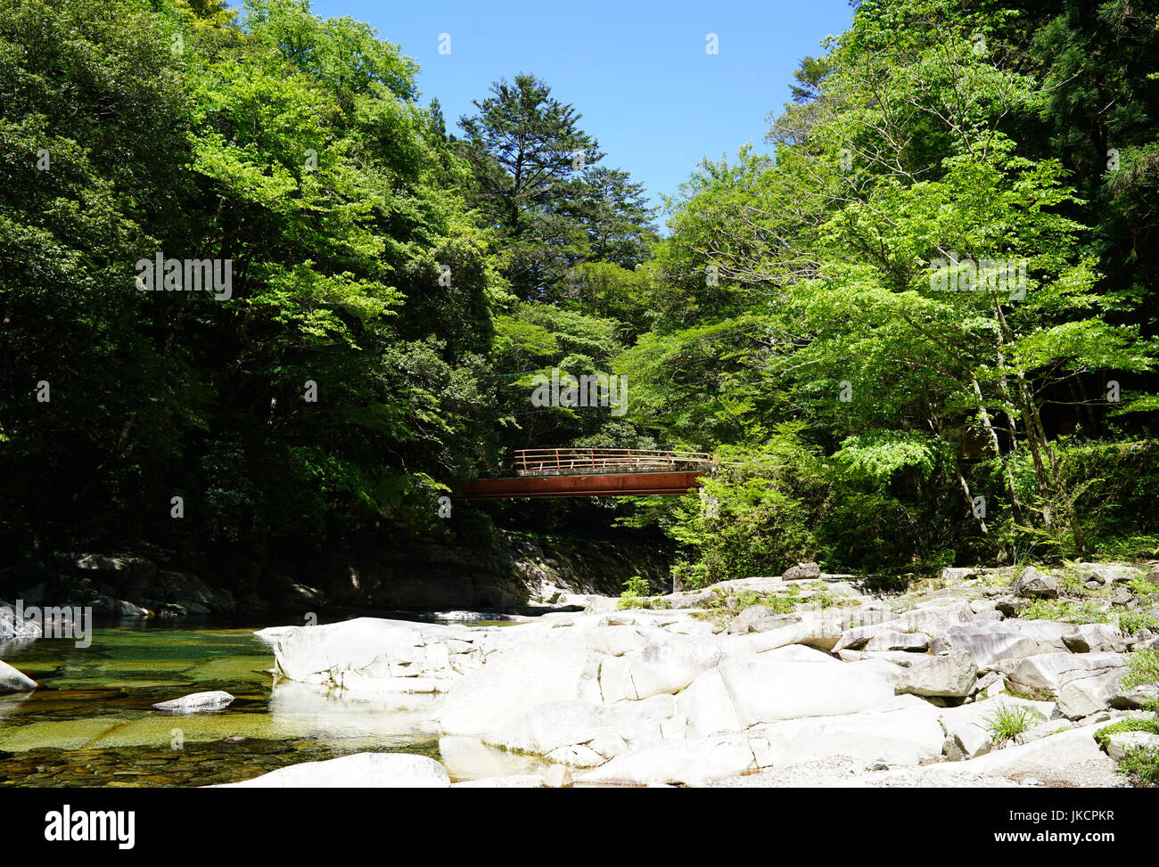Bridge through the forest hi-res stock photography and images - Alamy
