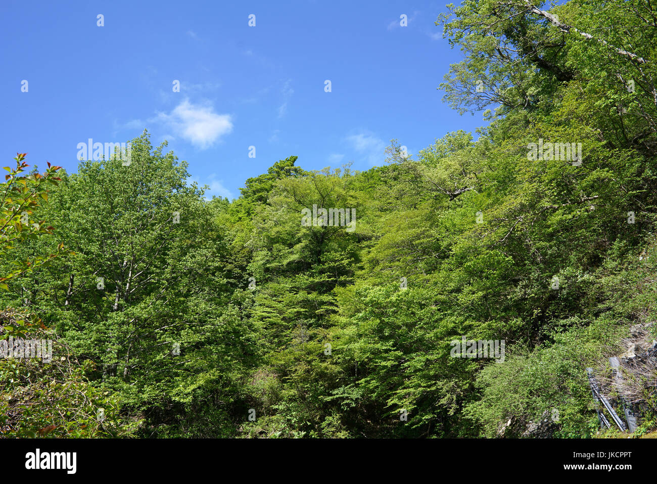 Beautiful scenery green lush mountain hi-res stock photography and ...