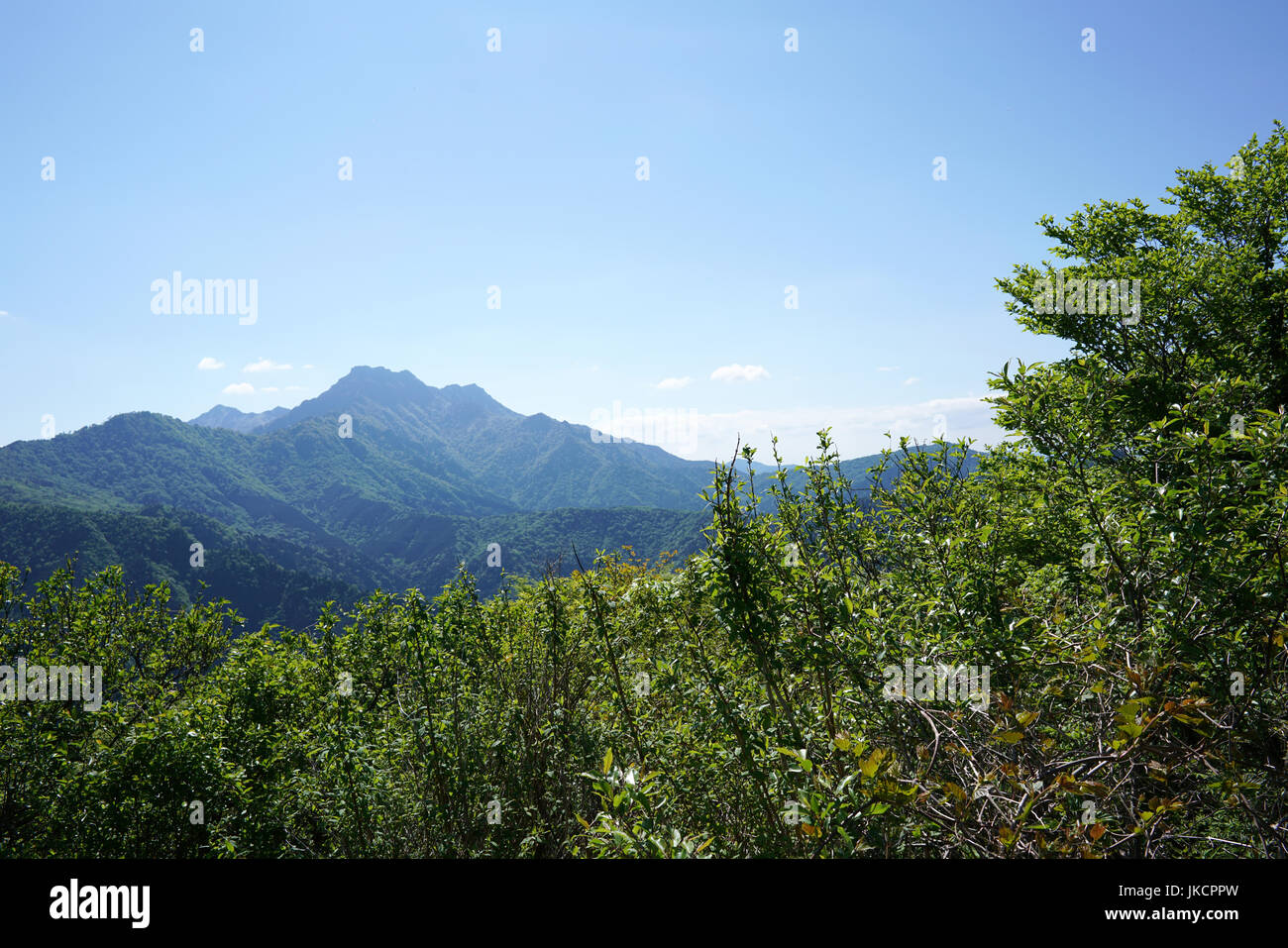 Scenic summer view of Japanese mountain landscape with green forests ...