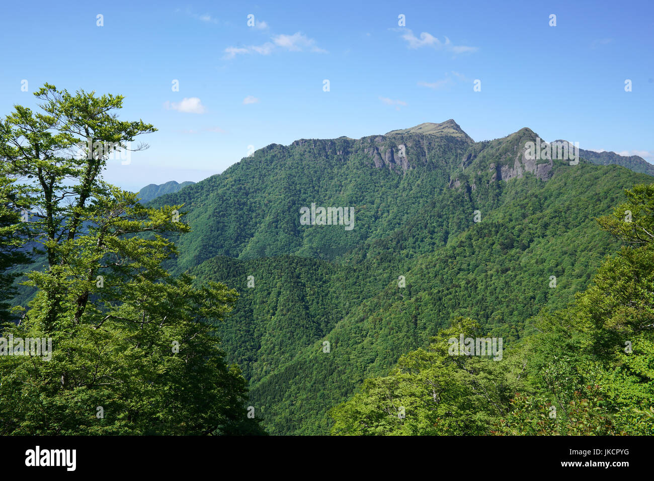 Scenic summer view of Japanese mountain landscape with green forests ...