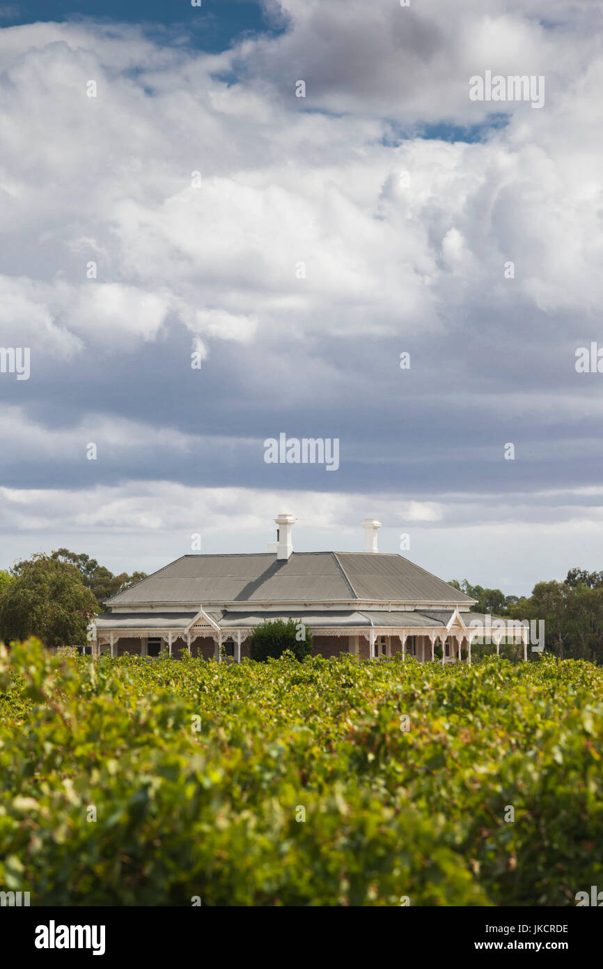 Australia, South Australia, Barossa Valley, Marananga, vineyard and ...