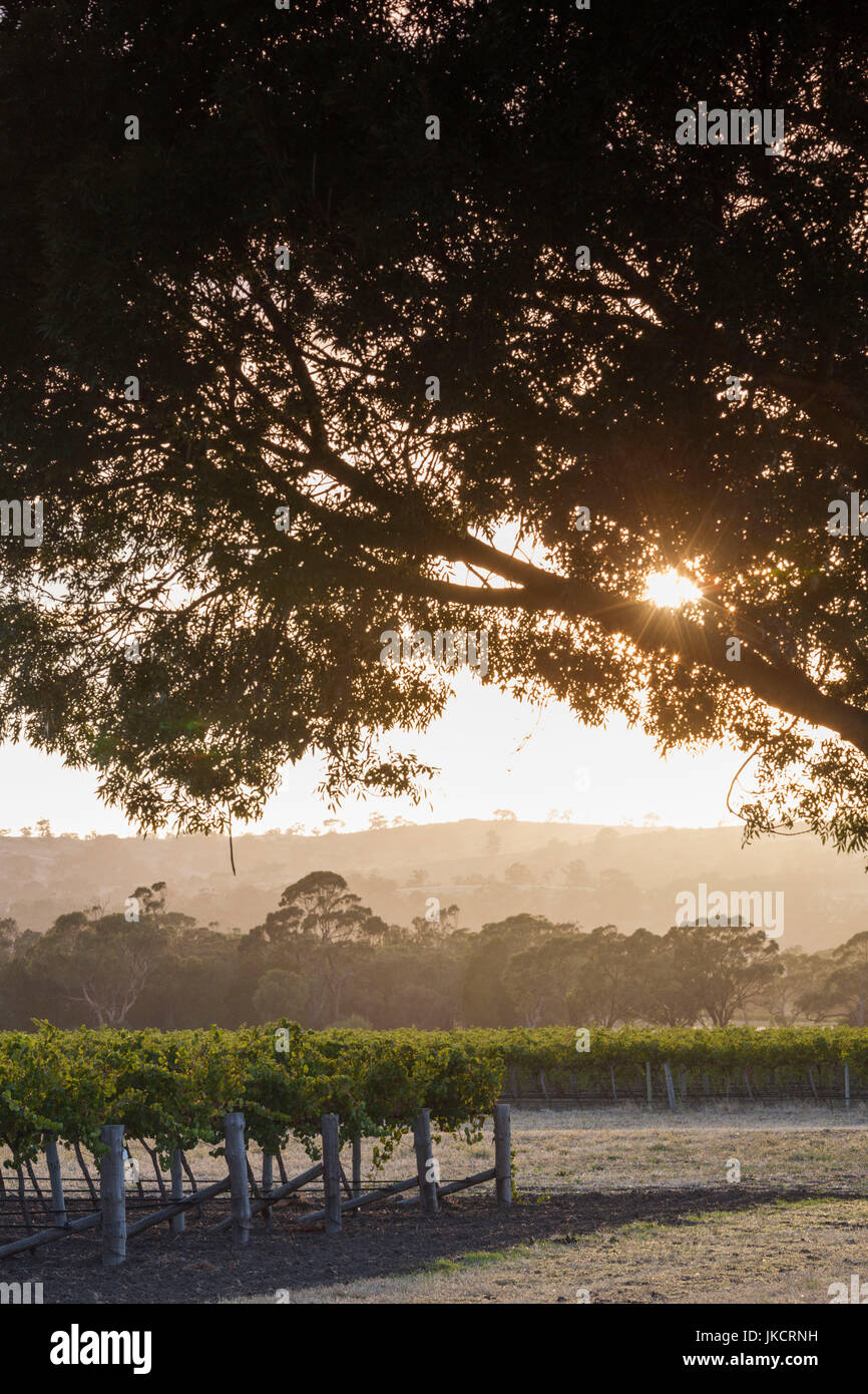 Tanunda south australia hi-res stock photography and images - Alamy