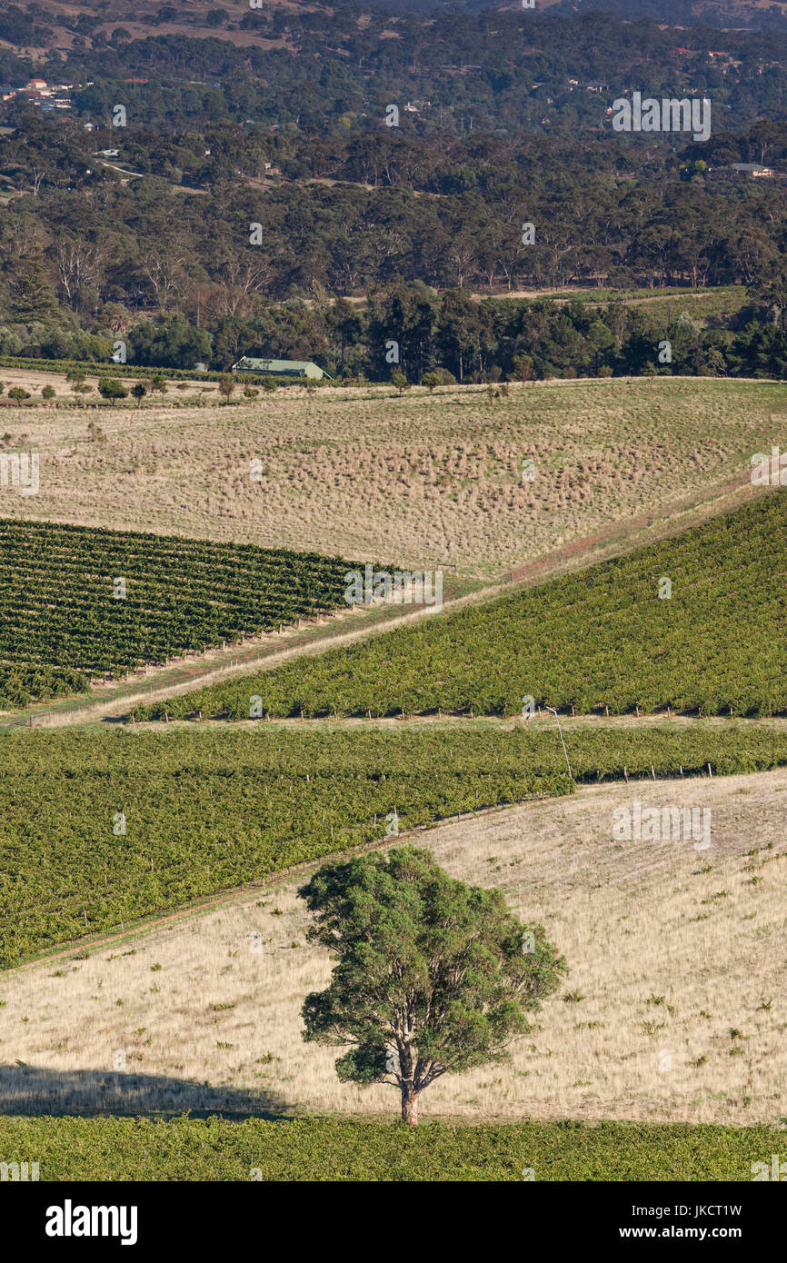 Australia, South Australia, Clare Valley, Clare, elevated view of ...