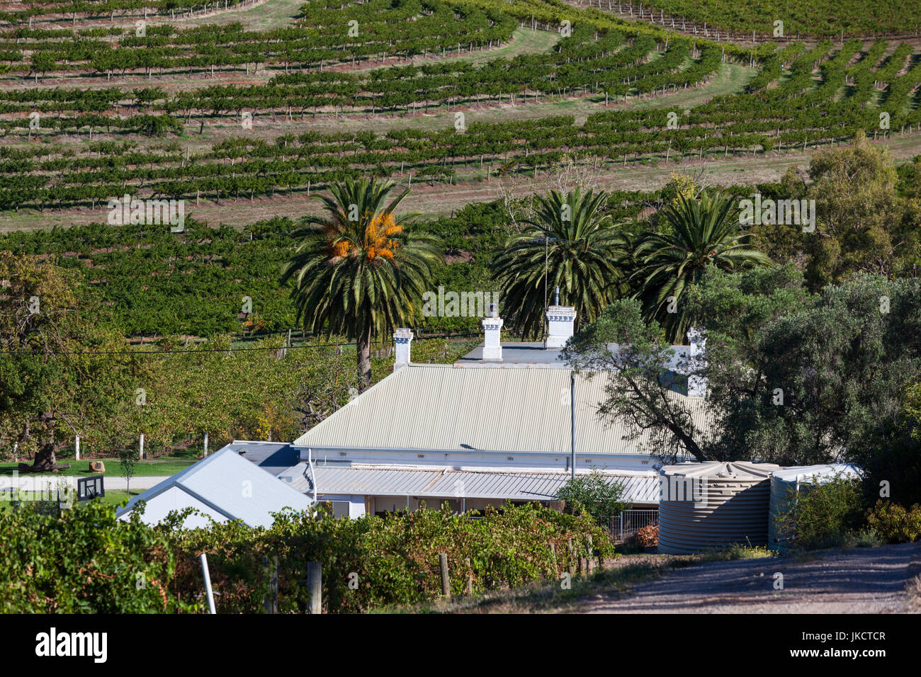 Australia, South Australia, Fleurieu Peninsula, McLaren Vale Wine ...