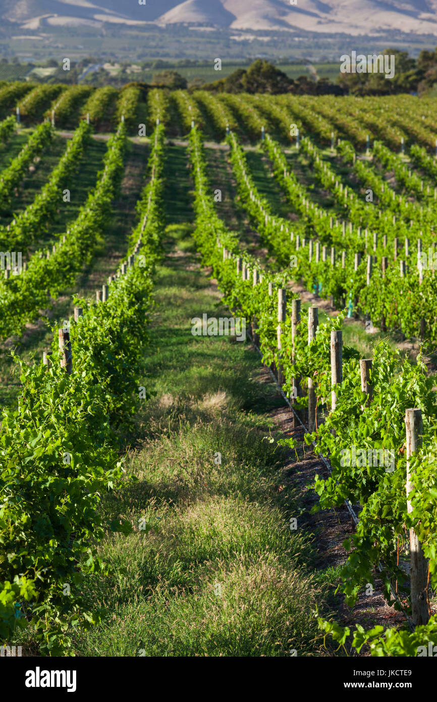 Southern fleurieu wine region hi-res stock photography and images - Alamy