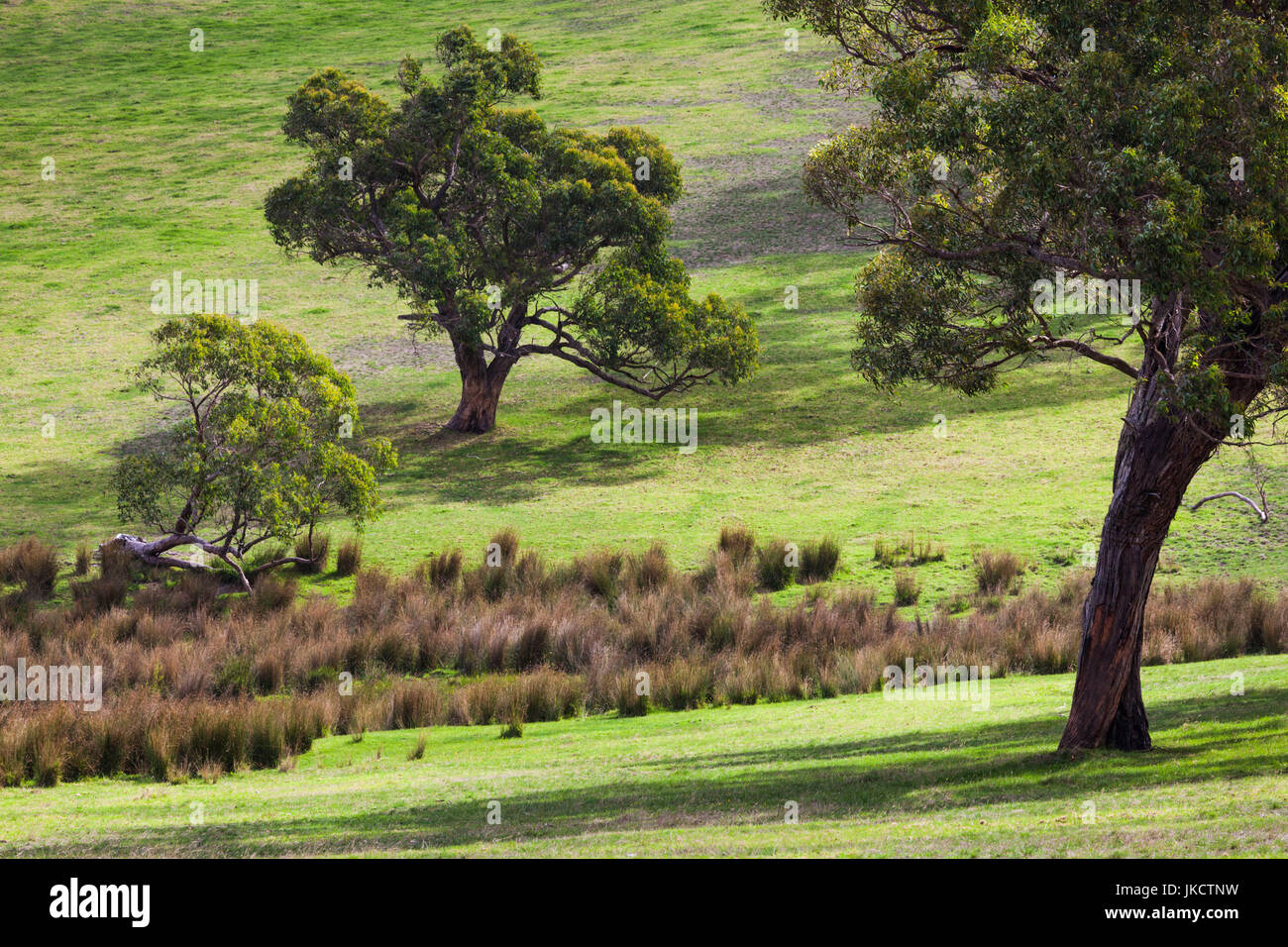 Australia, South Australia, Fleurieu Peninsula, Rapid Bay, landscape ...