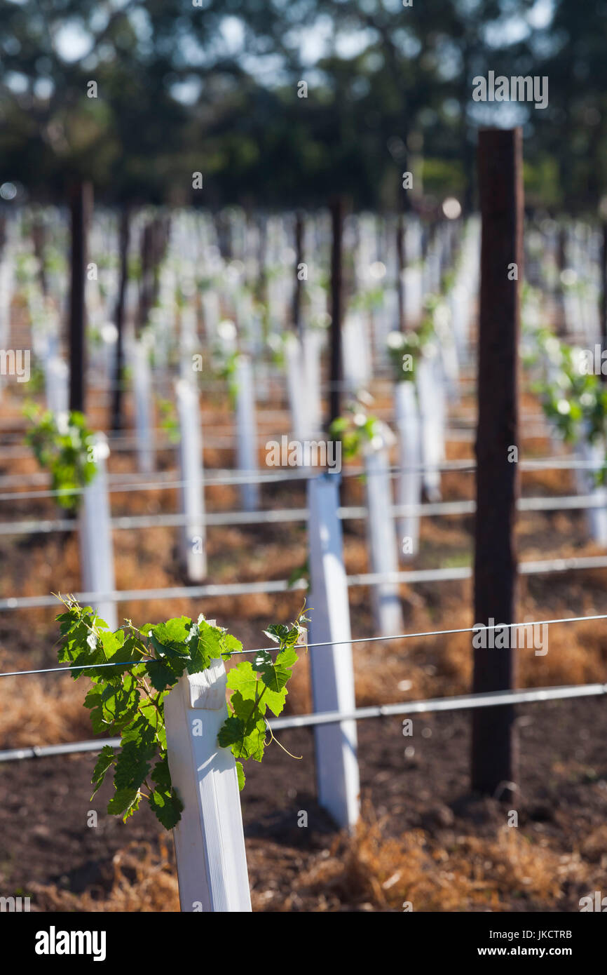 Southern fleurieu wine region hi-res stock photography and images - Alamy