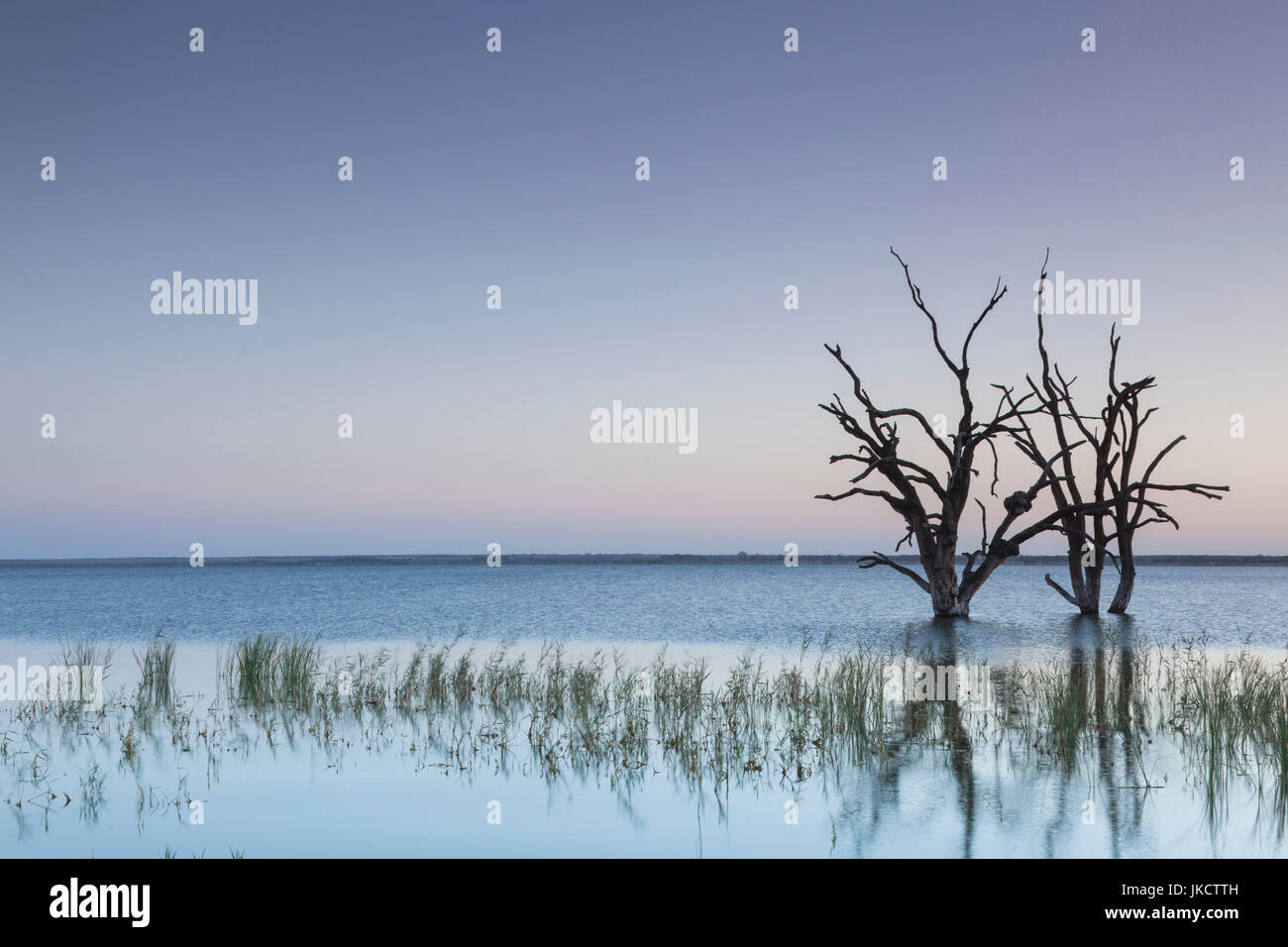 Australia, South Australia, Murray River Valley, Barmera, Lake Bonney ...
