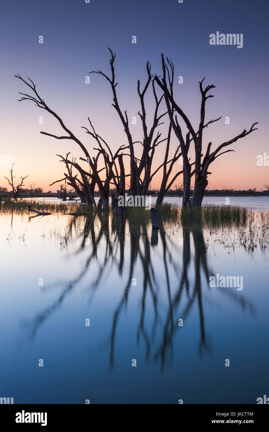 Australia, South Australia, Murray River Valley, Barmera, Lake Bonney ...