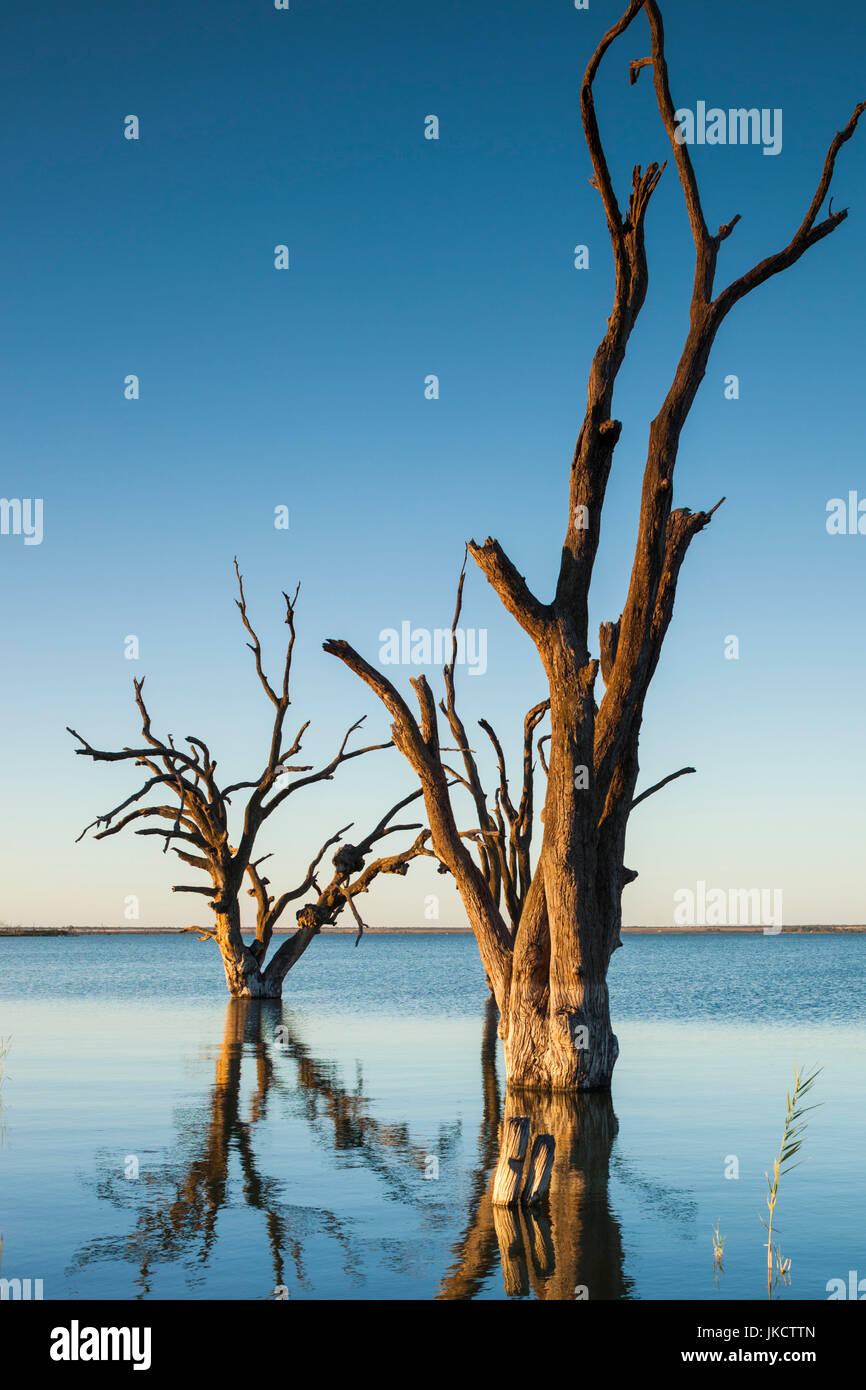 Australia, South Australia, Murray River Valley, Barmera, Lake Bonney ...