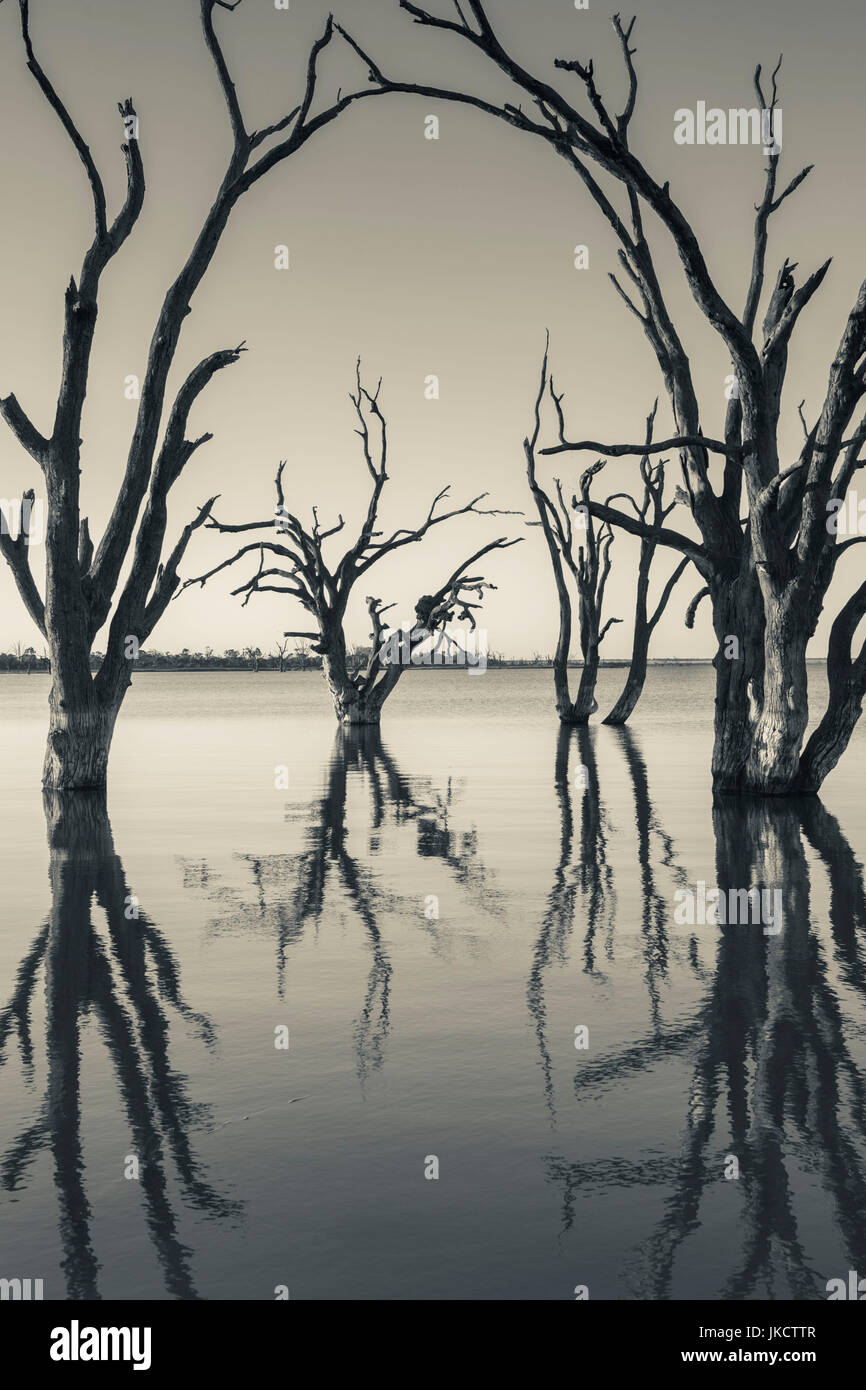 Australia, South Australia, Murray River Valley, Barmera, Lake Bonney ...