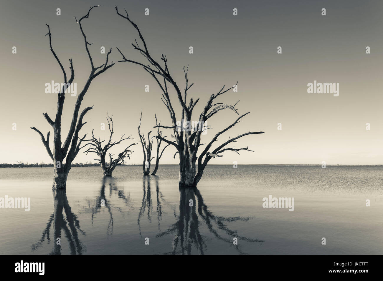 Australia, South Australia, Murray River Valley, Barmera, Lake Bonney ...