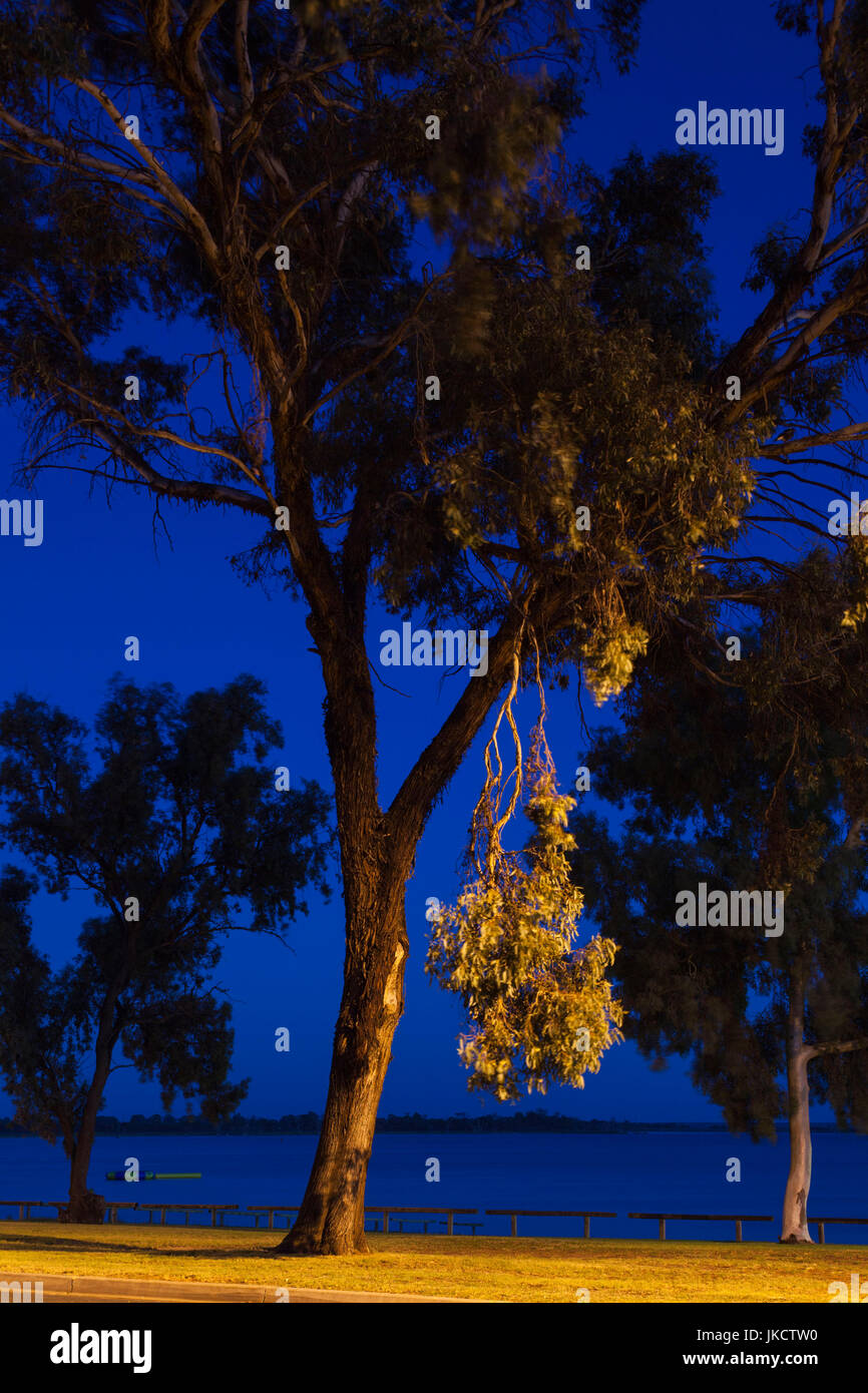 Australia, South Australia, Murray River Valley, Barmera, Lake Bonney ...