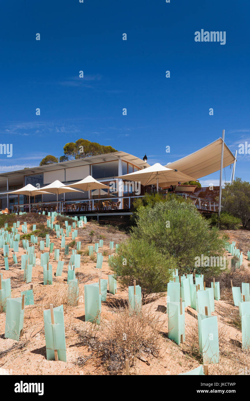 Banrock station vineyard riverland south australia hi-res stock ...