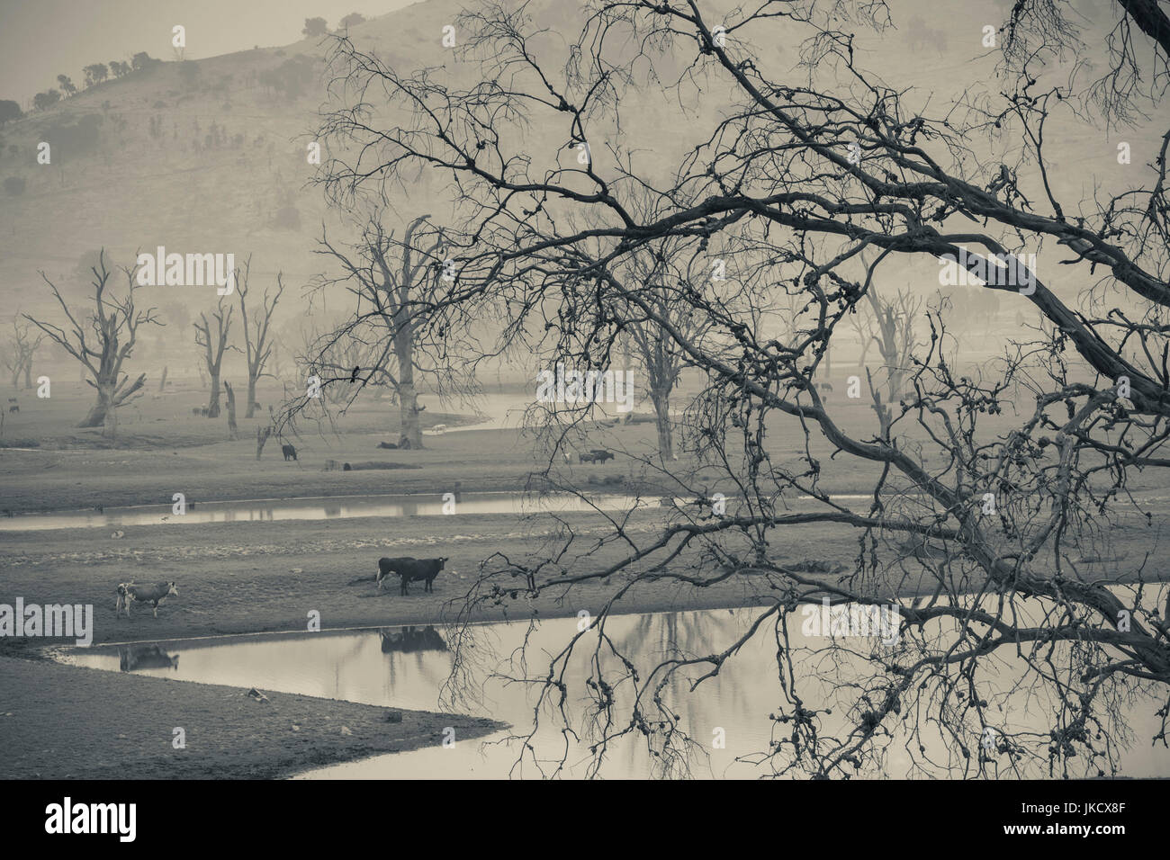 Australia, Victoria, VIC, Huon, landscape by Lake Hume with forest fire ...