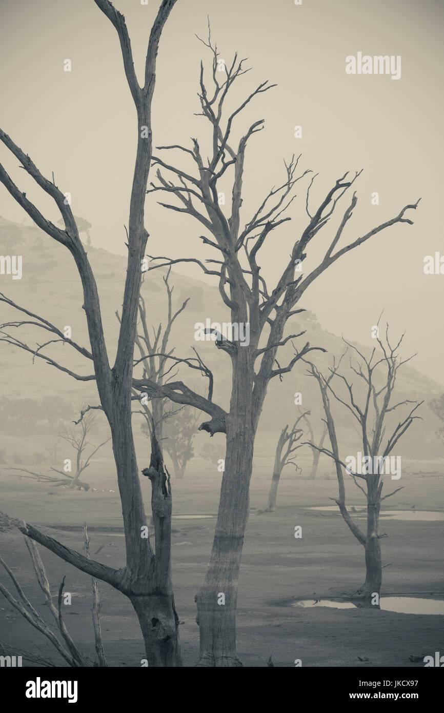 Australia, Victoria, VIC, Huon, landscape by Lake Hume with forest fire ...