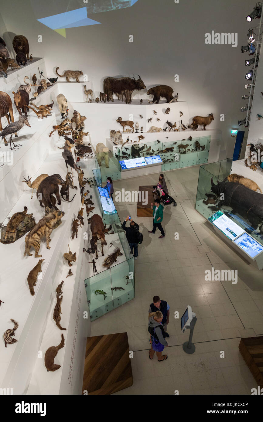 Australia, Victoria, VIC, Melbourne, Carlton, Melbourne Museum, biology ...