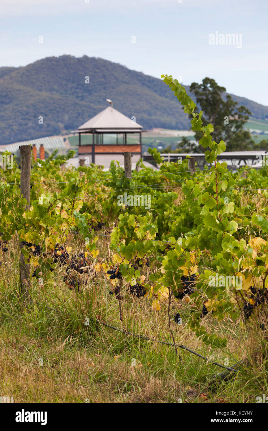 Australia, Victoria, VIC, Yarra Valley, Coldstream, Rochford Winery ...