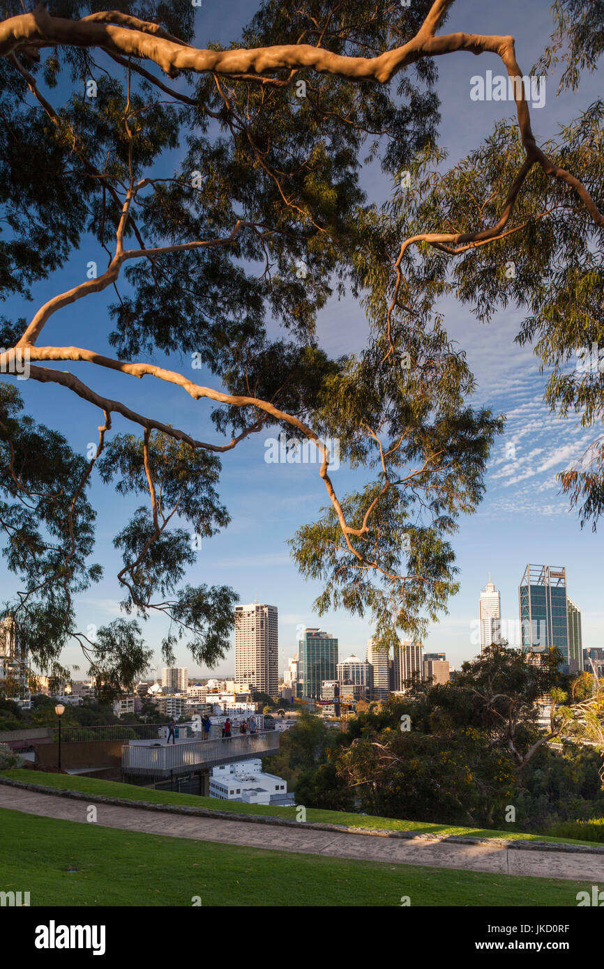 Australia, Western Australia, Perth, city skyline from Kings Park, late ...