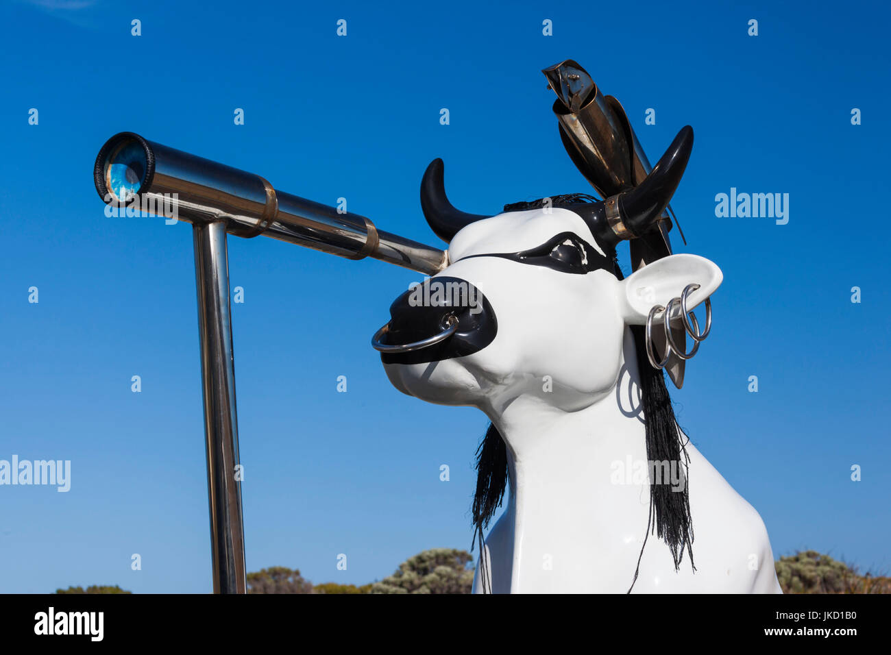 Australia, Western Australia, The Southwest, Cape Leeuwin, pirate cow ...
