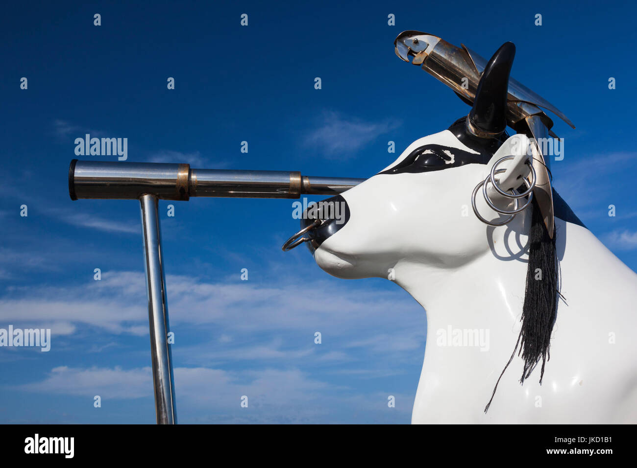 Pirate cow sculpture hi-res stock photography and images - Alamy