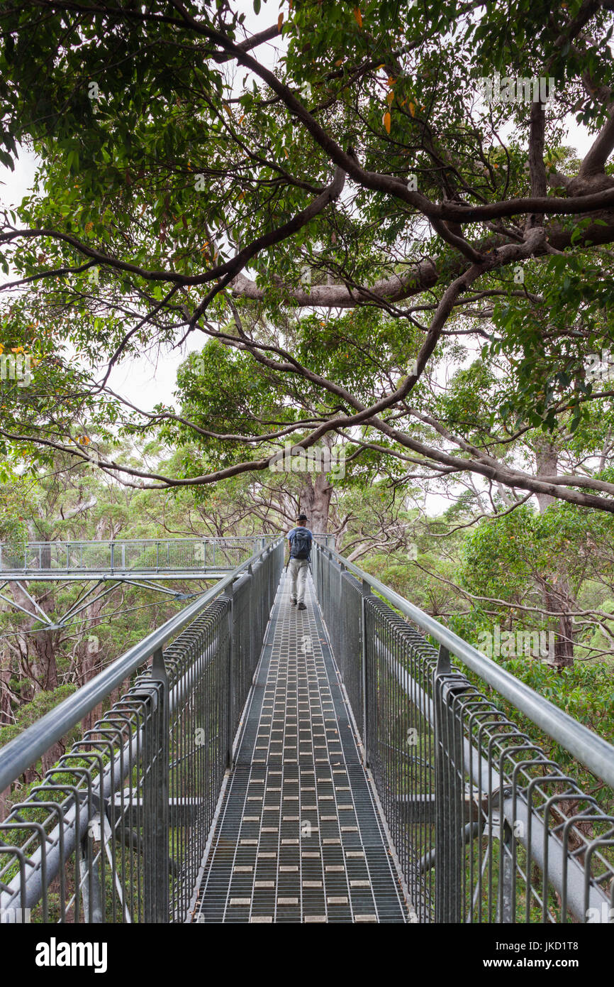 Tree top walk elevated walkway hi-res stock photography and images - Alamy