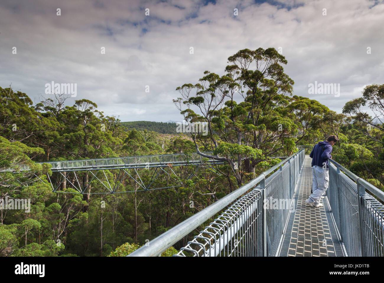 Tree top walk elevated walkway hi-res stock photography and images - Alamy