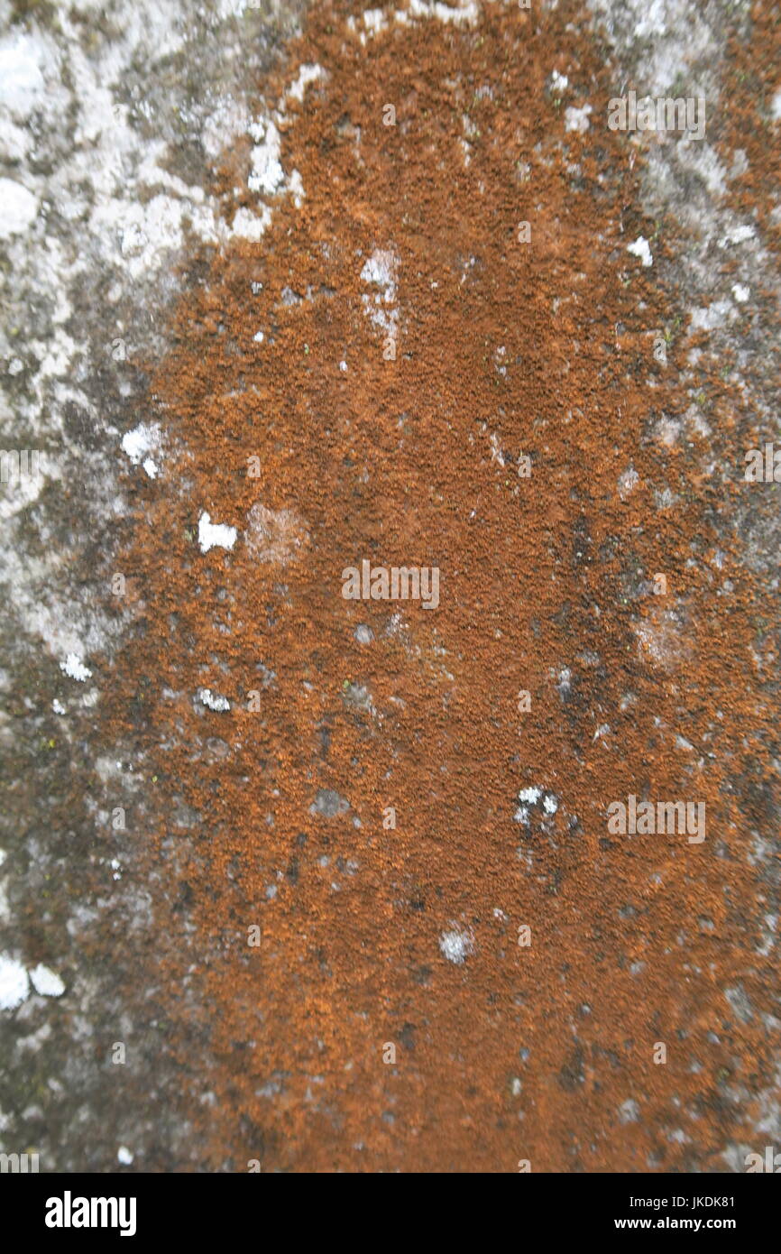 TEXTURE BACKGROUND, NATURAL WEATHERING MOTTLED Stock Photo - Alamy