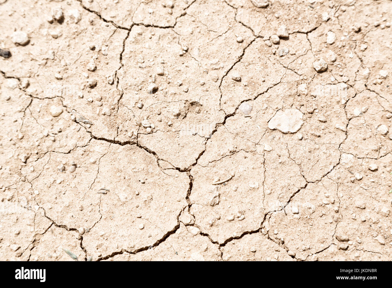 in the desert the dry ground like background texture Stock Photo - Alamy