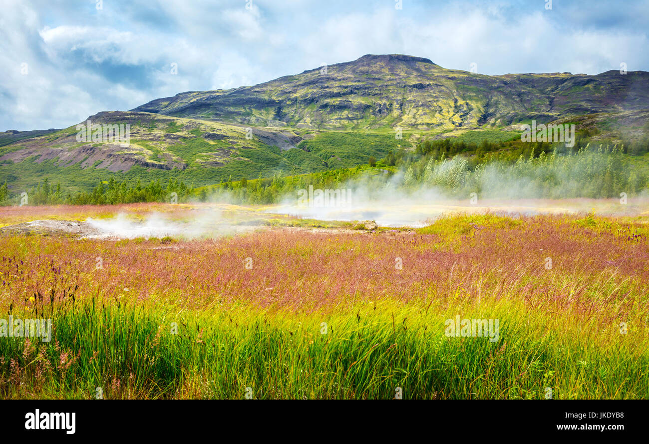 Colorful volcanic geyser landscape at Haukadalur geothermal area in ...