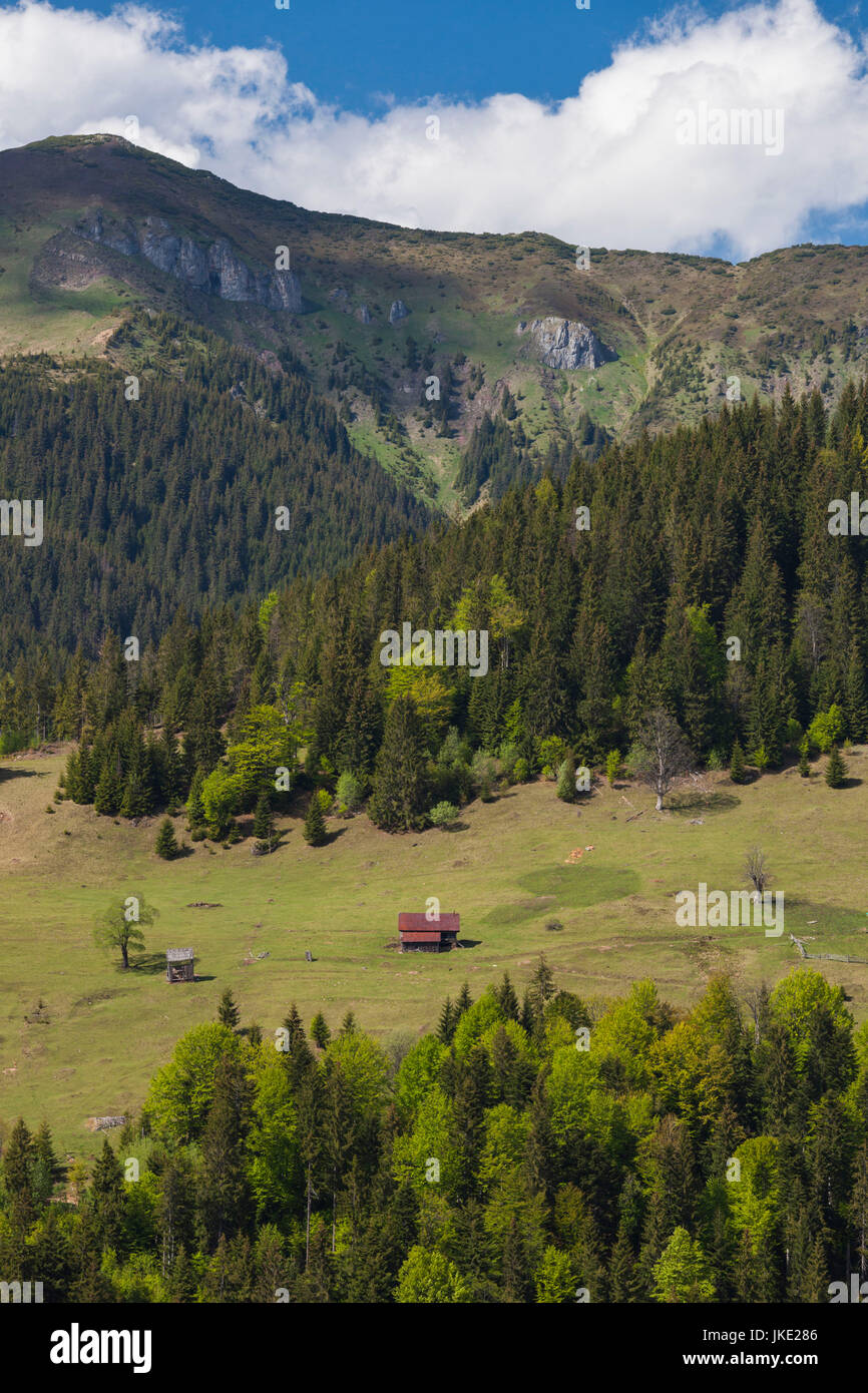 Rodna national park hi-res stock photography and images - Alamy