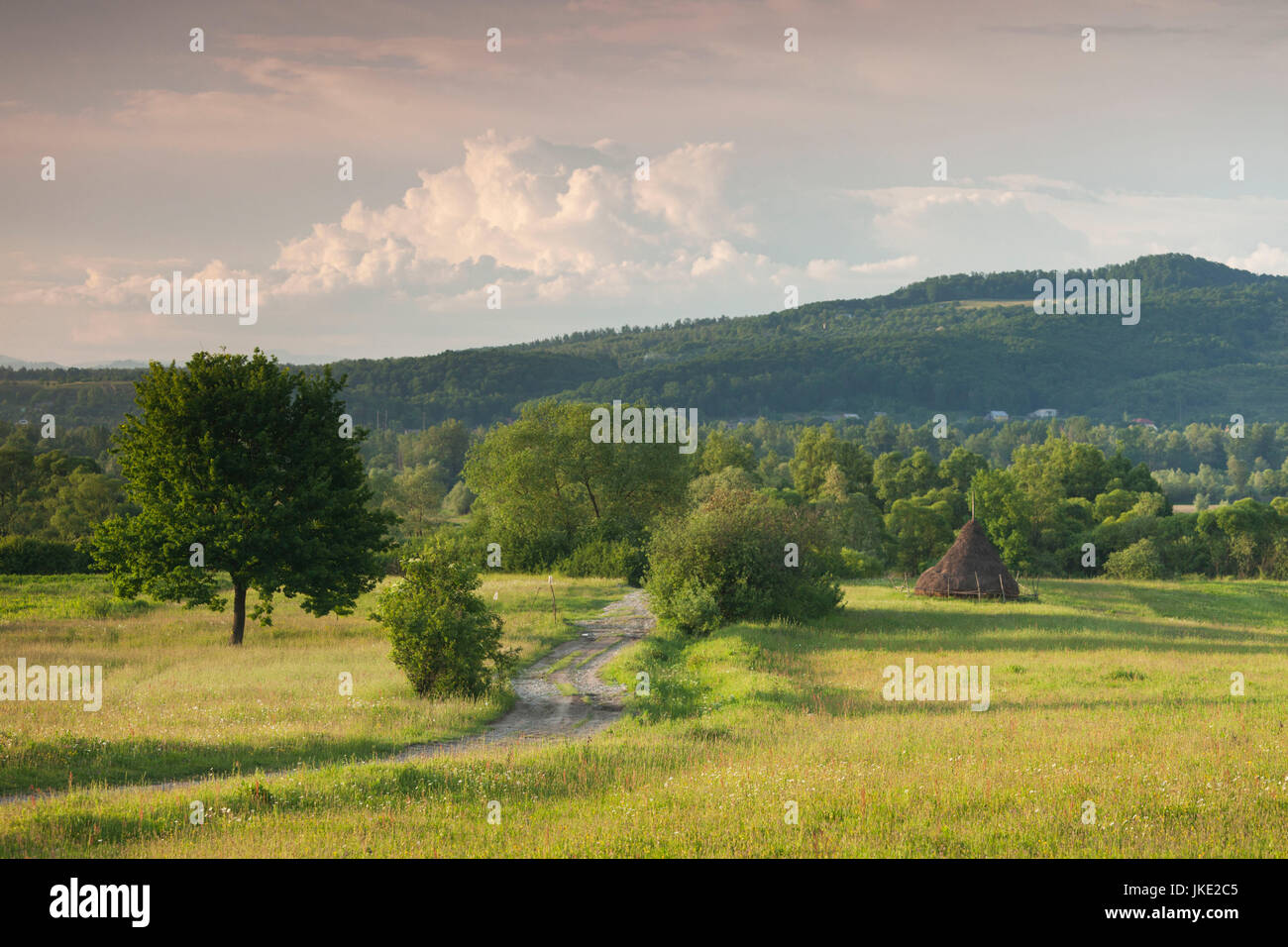 Sarasau hi-res stock photography and images - Alamy