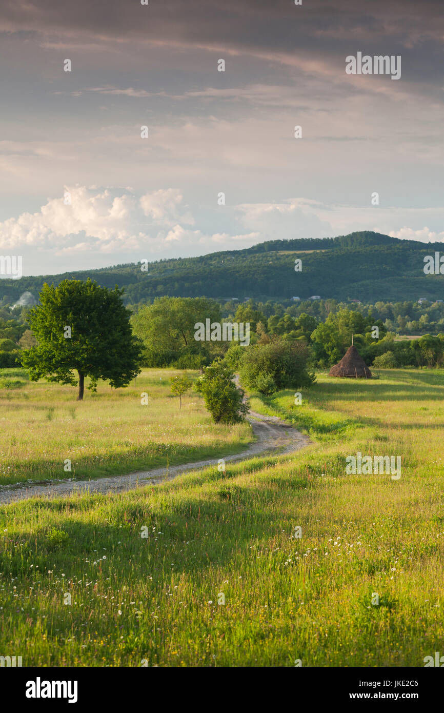 Romania, Maramures Region, Sarasau, country road by the Ukranian ...