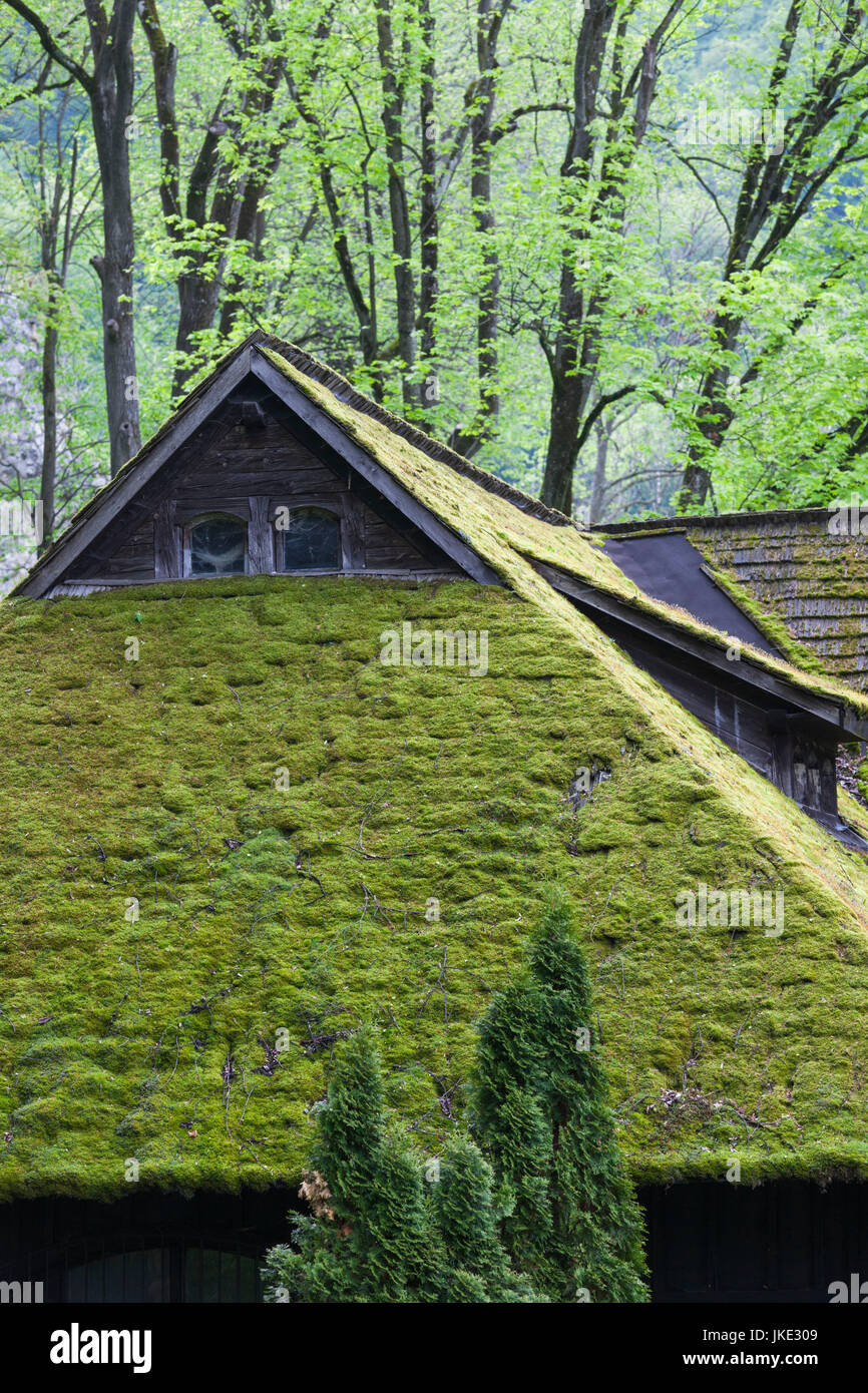 Romania, Transylvania, Bran, Bran Castle, grass covered roof of castle ...