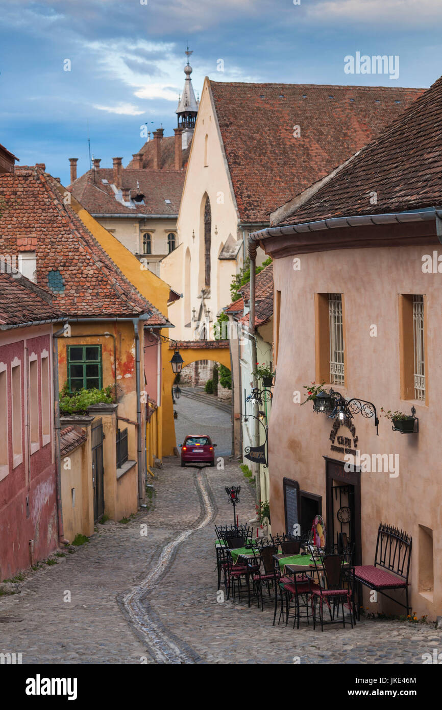 Scolii hi-res stock photography and images - Alamy