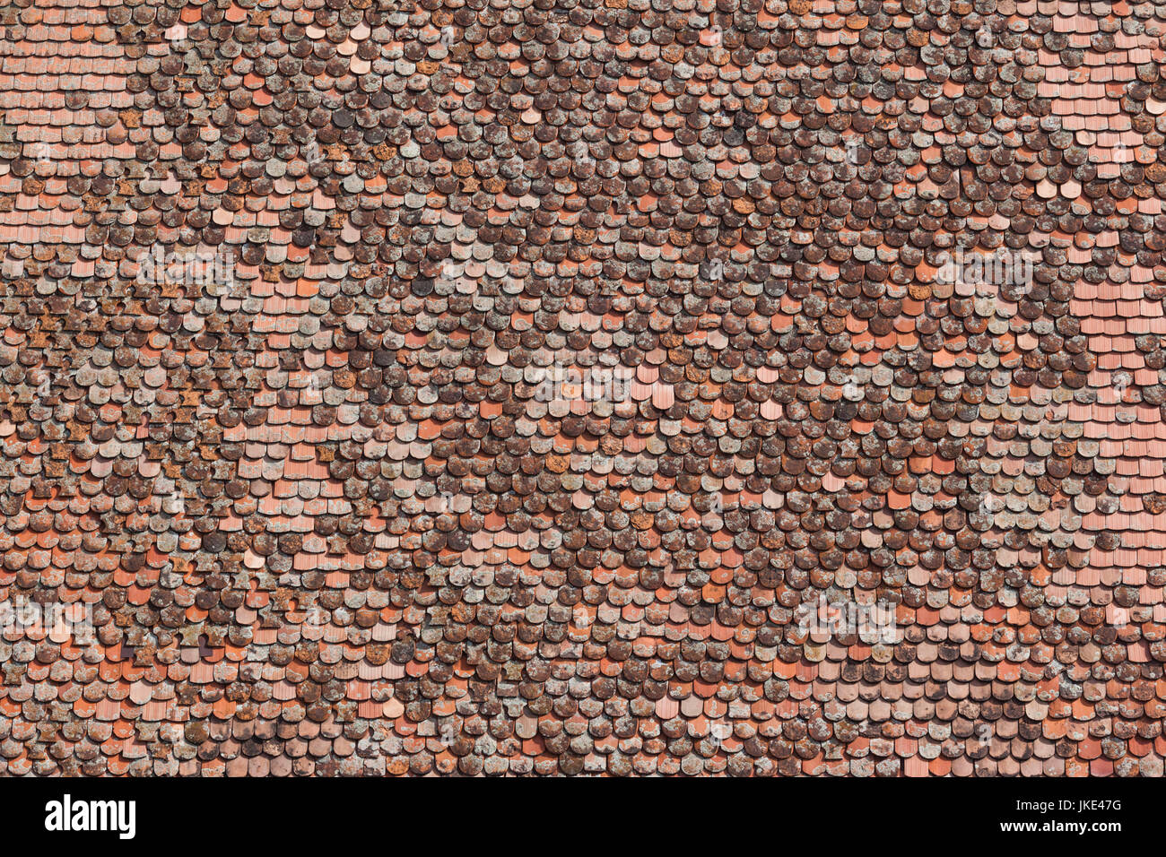 Romania, Transylvania, Sighisoara, Old Town, rooftop view Stock Photo ...