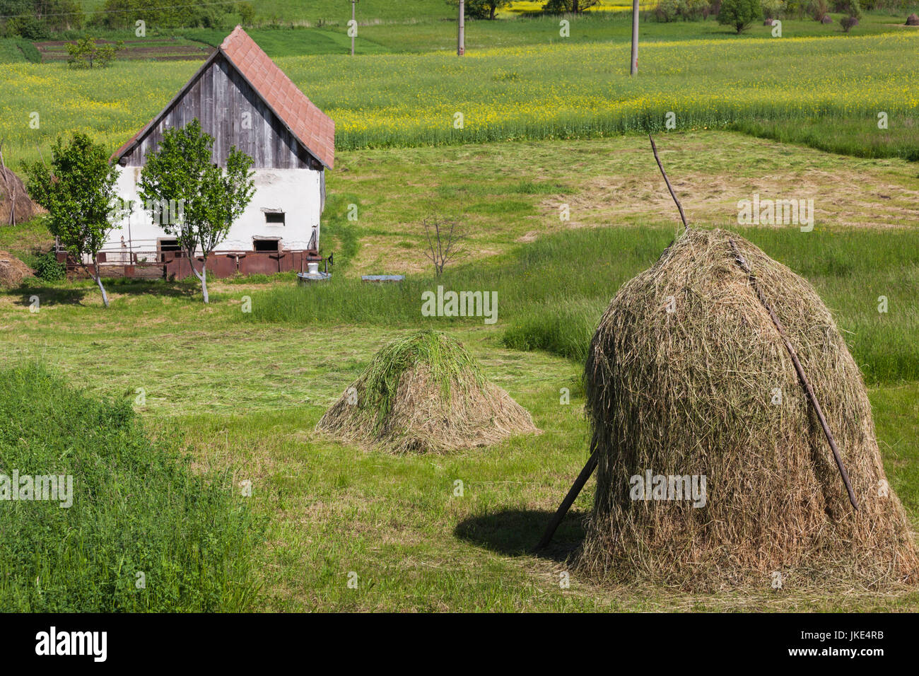 Tarnaveni hi-res stock photography and images - Alamy