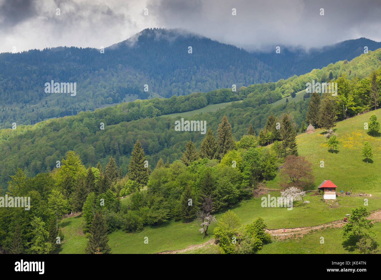 Borgo pass romania hi-res stock photography and images - Alamy