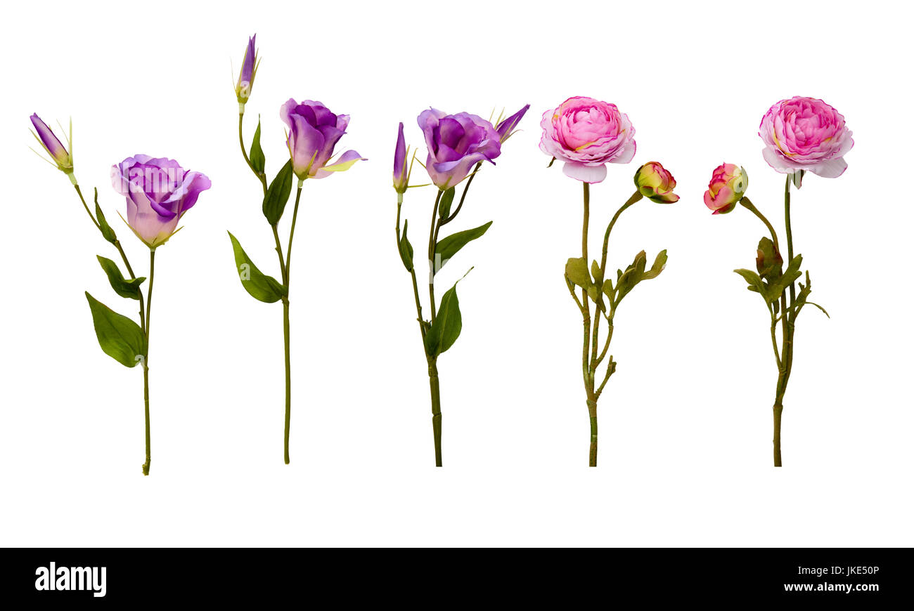 Topview composition Cut Out Stock Images & Pictures - Alamy