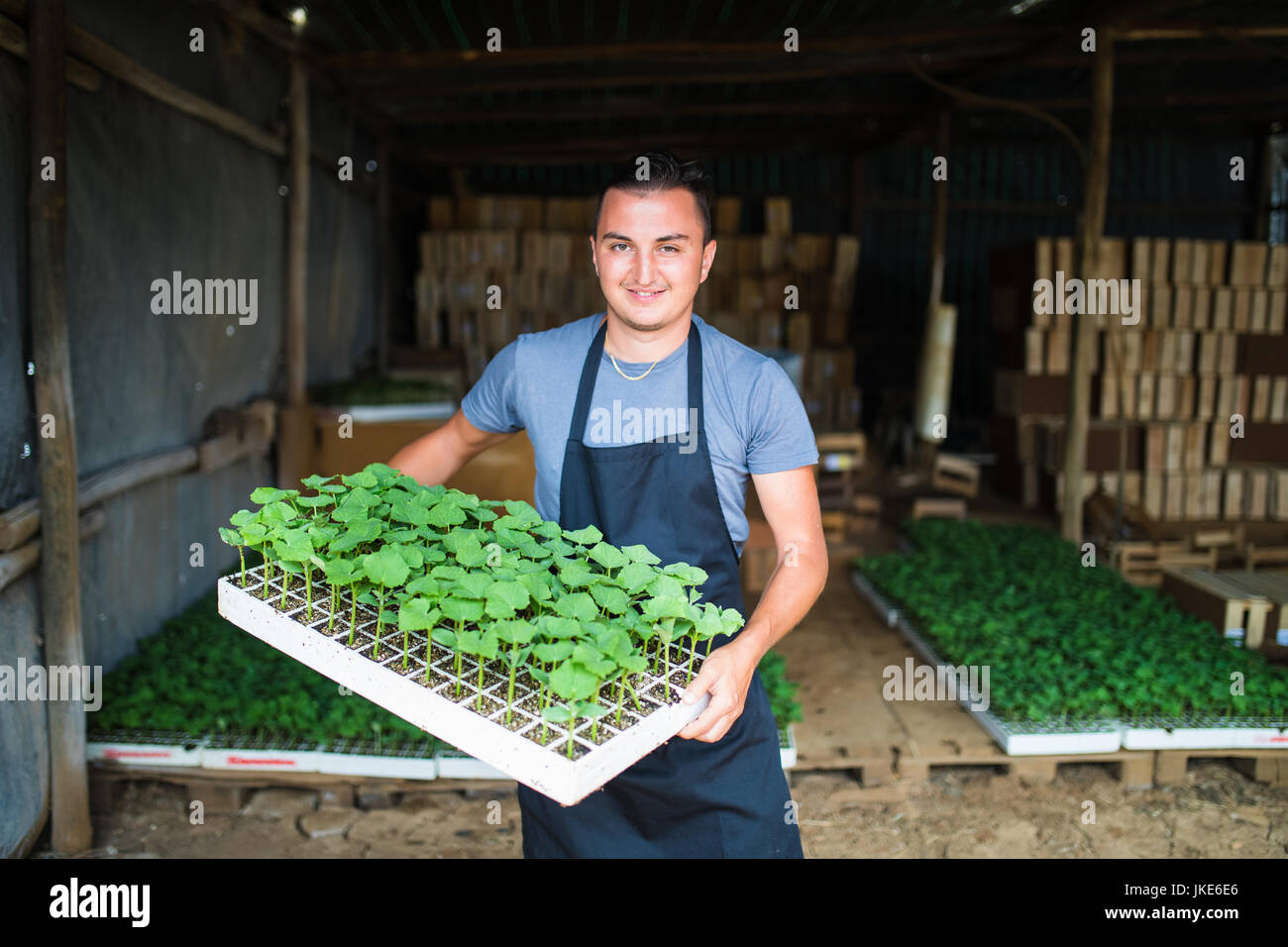 Man carrying seedlings hi-res stock photography and images - Alamy