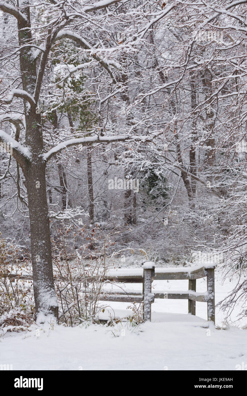 USA, Massachusetts, Cape Ann, Gloucester, early snowfall Stock Photo ...